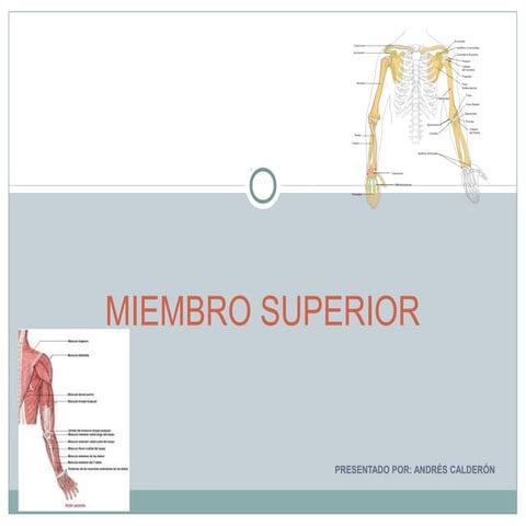 Fractura de la cabeza humeral | PPTX