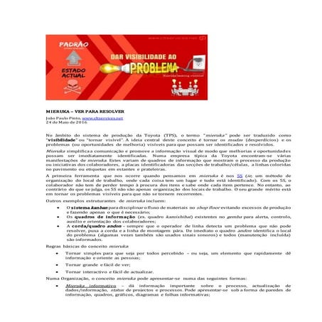 Mieruka Visibilidade | DOCX