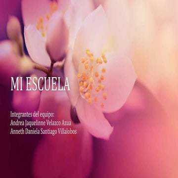 mi escuela: lo que me gusta y disgusta de ella | PPTX