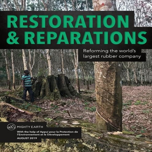 Mighty reparations and_restoration_publish2-final | PDF