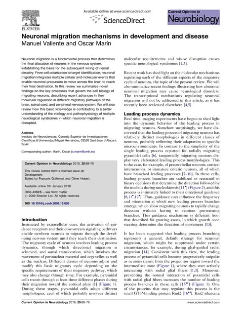 Neuronal migration | PPTX