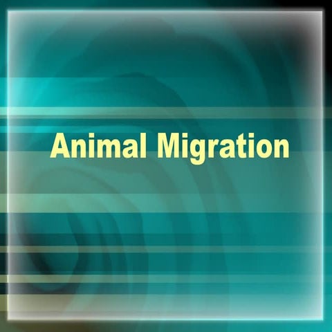 Migration introduction | PPT