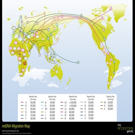 Migration map final | PDF