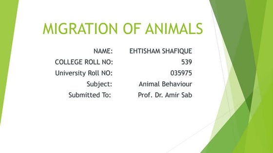 Migration in Birds | PPT