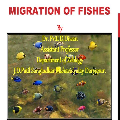 migration of Fishes | PPT