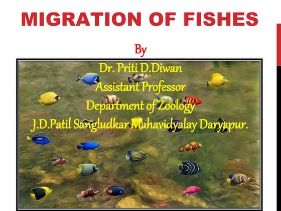 Fish migration (Animal Behavior) Catadromous, Anadromous | PDF ...