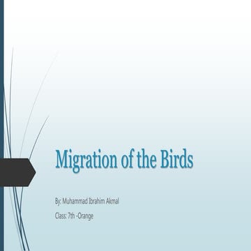 Migration of the birds | PPT