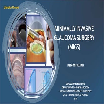 Minimally Invasive Glaucoma Surgery (MIGS) | PPT
