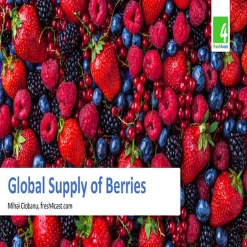 Global supply of berries | PDF