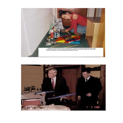 Mihai Razvan Ungureanu offered Bernard Bot as a gift a painting by 12-year-old Luciana Tamas | DOCX