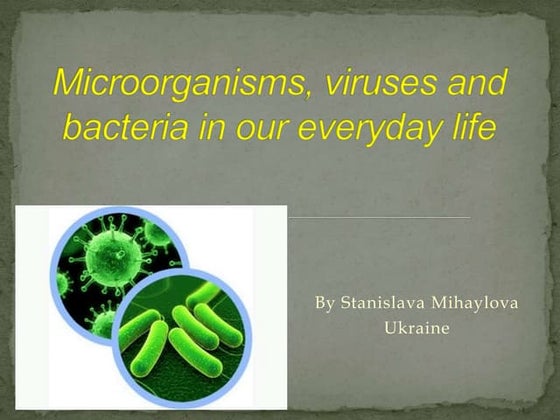 Bacteria in Food Processing Environments [Infographic] | PDF