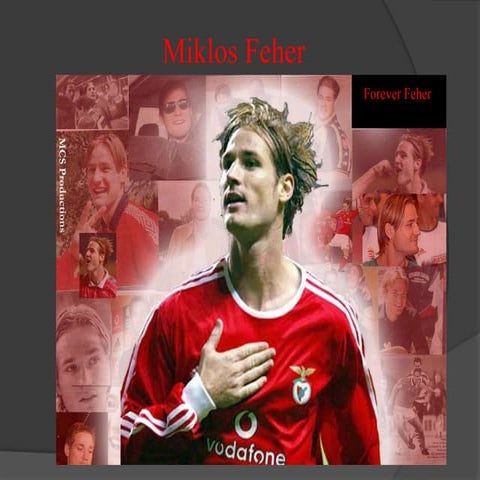 Miklos feher | PPTX