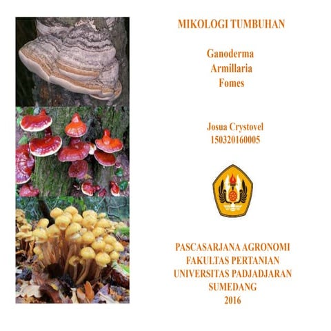 Ganoderma Armillaria Fomes | PPTX