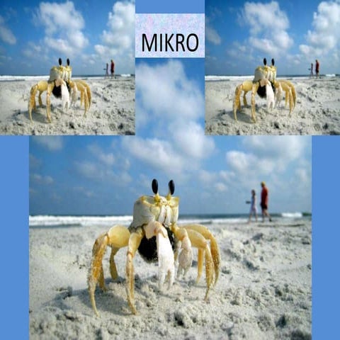 Mikro | PPSX