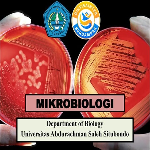 MIKROBIOLOGI 11 (TEKNIK ISOLASI BAKTERI).ppt