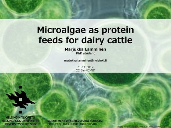 Microalgae as a protein feed for dairy cows | PDF | Nutrition | Healthy ...
