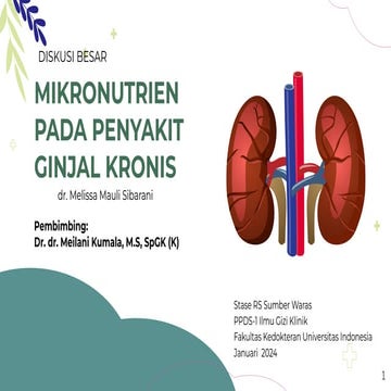 Mikronutrien Pada CHRONIC KIDNEY DISEASE | PDF
