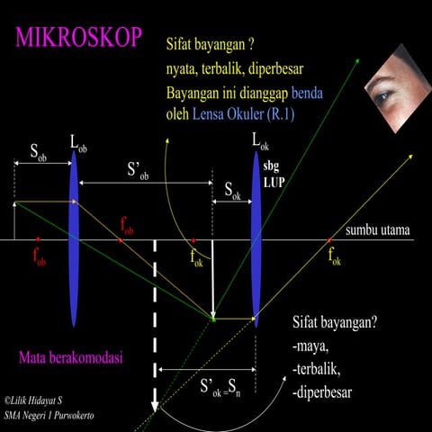 Transformasi diri elang (lilik hidayat s) | PPSX