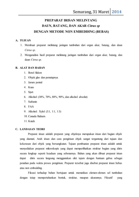 Laporan praktikum 9 strobilus gymnospermae (morfologi tumbuhan) | DOCX