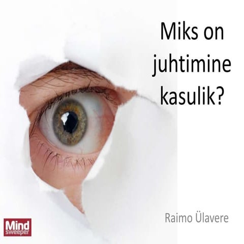 Miks On Juhtimine Kasulik, Noored EttevõTjad | PPTX