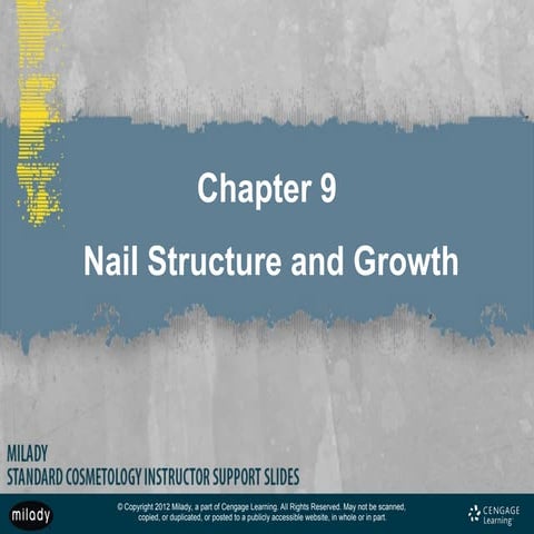 Structure of Nail | PPTX
