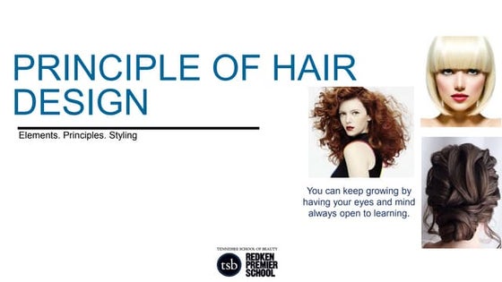 Lesson plan principles of hair design | DOCX