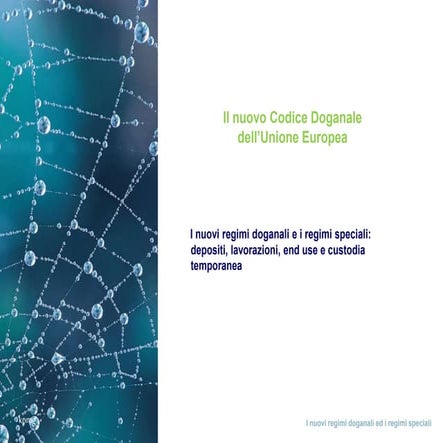 Il nuovo Codice Doganale dell’Unione Europea | PPTX