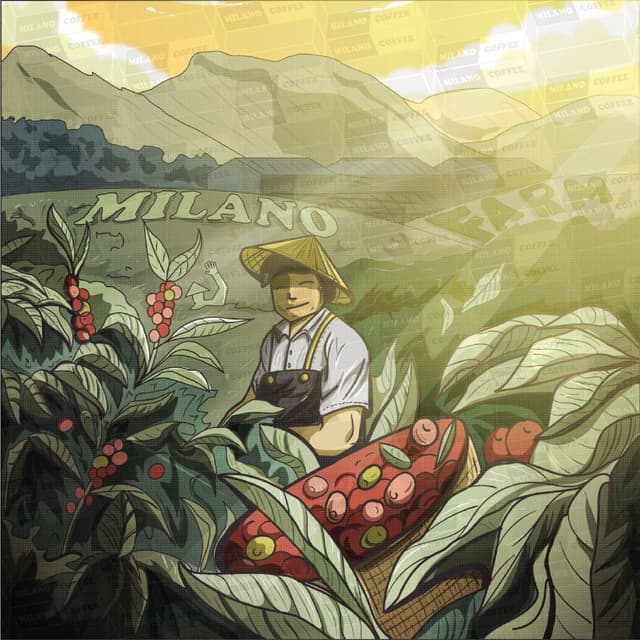 MILANO COFFEE - HÀNH TRÌNH CỦA HẠT CÀ PHÊ | PDF