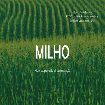 Milho - Matérias Primas Agropecuárias.pdf