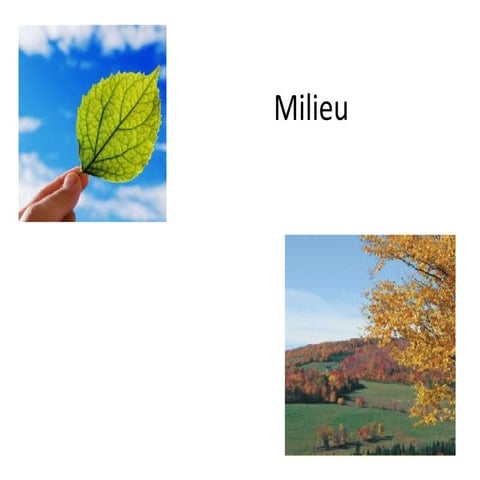 Milieu | PPT