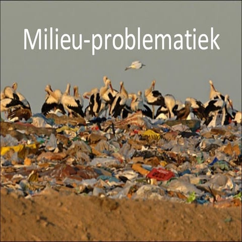 Milieu | PPT