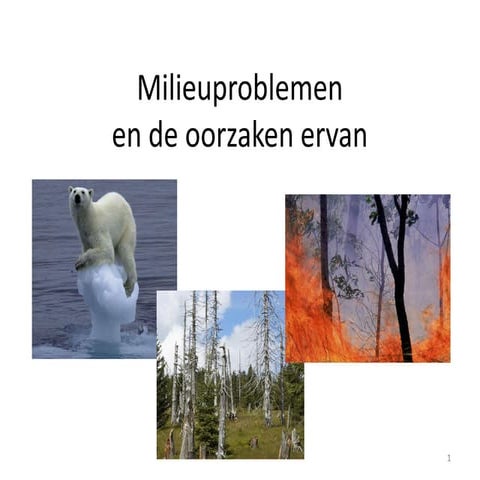 Milieuproblemen en de oorzaken ervan | PDF
