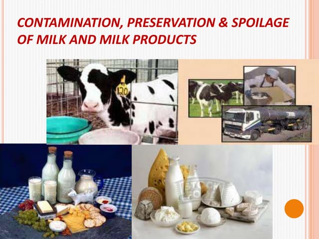 Bactofugation of milk | PPT