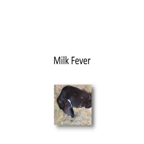 Milk fever.pptx
