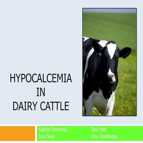milk fever plus.ppt | Endocrine and Metabolic Diseases | Diseases and ...