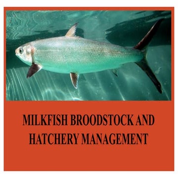 Fishs HATCHERY MANAGEMENT 1 LECTURE.pptx