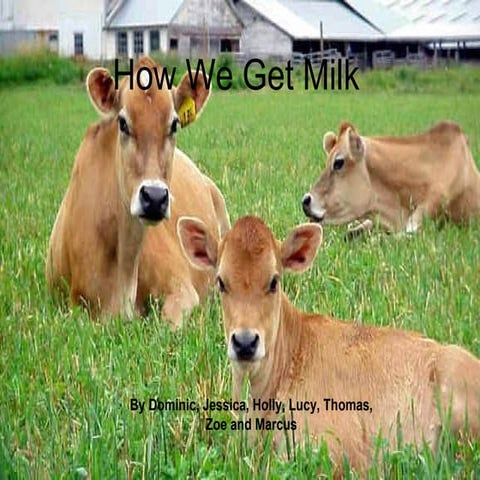 Milk powerpoint | PPT