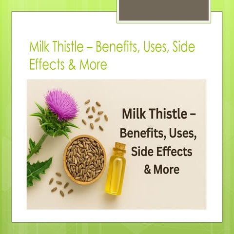 Milk Thistle – Benefits, Uses, Side Effects & More | PPTX