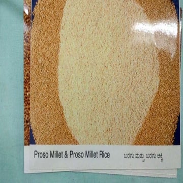 Millets | PPTX