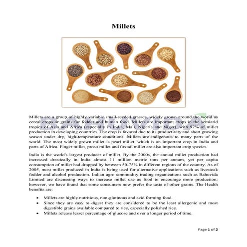 Millets Agro Commodities Bahuvida Limited Millets Suppliers Millets ...