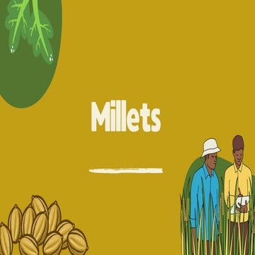 Millets: role, nutrition and use in food- pdf | PDF