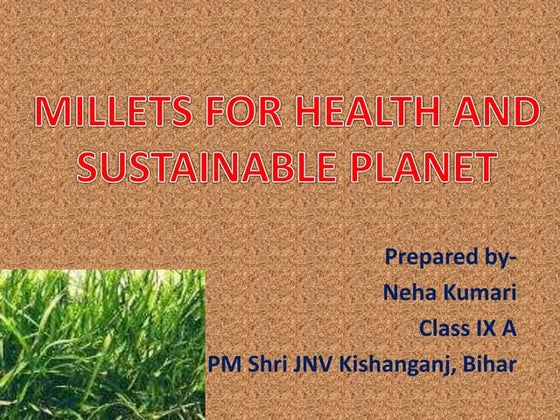 THE MILLETS | PPTX | Agriculture | Industries
