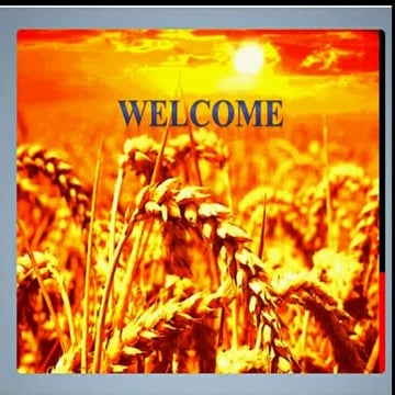 Millets are a group of smallseeded grain | PDF