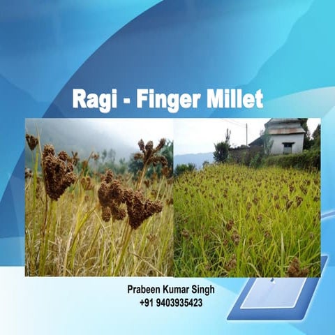 Millet value chain | PDF