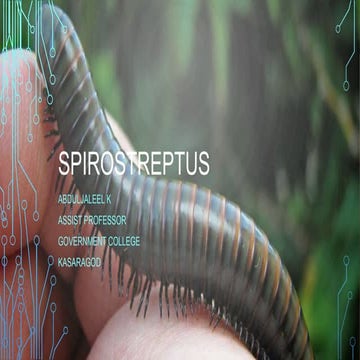 common mllipede | PPT