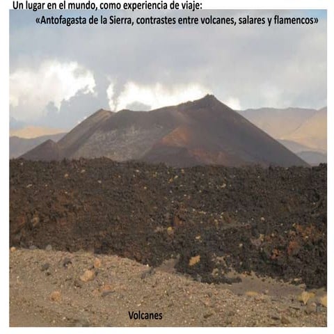 SA Army Foundation | PDF