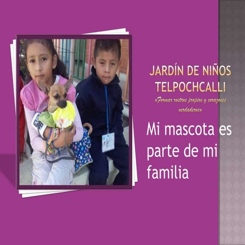 "Mi mascota es parte de mi familia" | PPTX