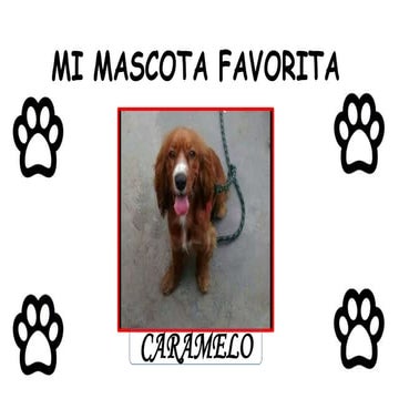 Mi mascota favorita | PPT