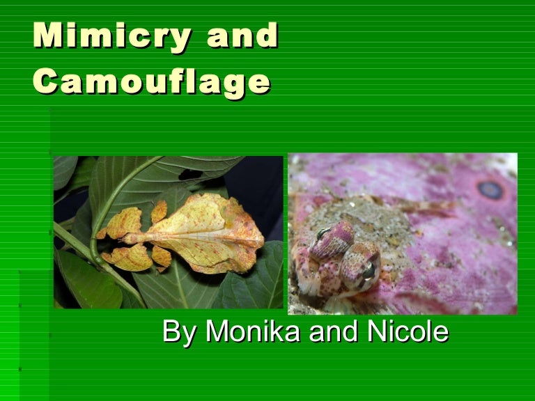 Mimicry and Camouflage
