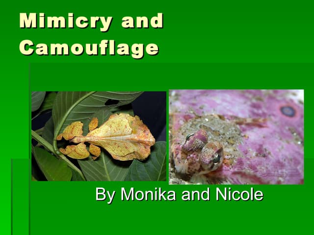 Mimicry: mullerian and batesian mimicry | PDF